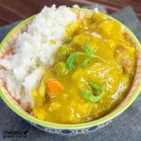 Instant Pot Vegetarian Curry Recipe - Five Spot Green Living