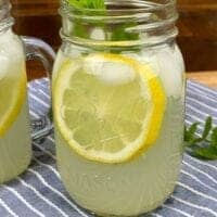 Lemonade Cooler Recipe - Five Spot Green Living